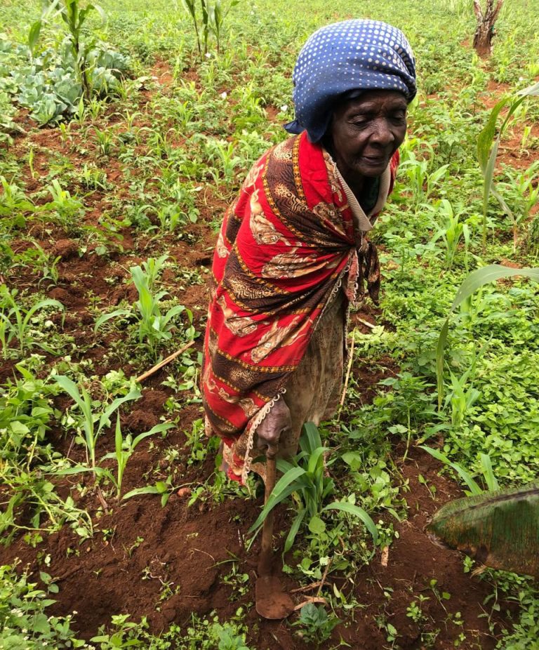 Community Livelihood Program - Grace Network Life